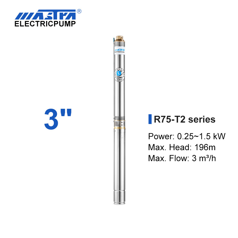 Mastra 3 inch Submersible Pump - R75-T2 series 2 m³/h rated flow ...